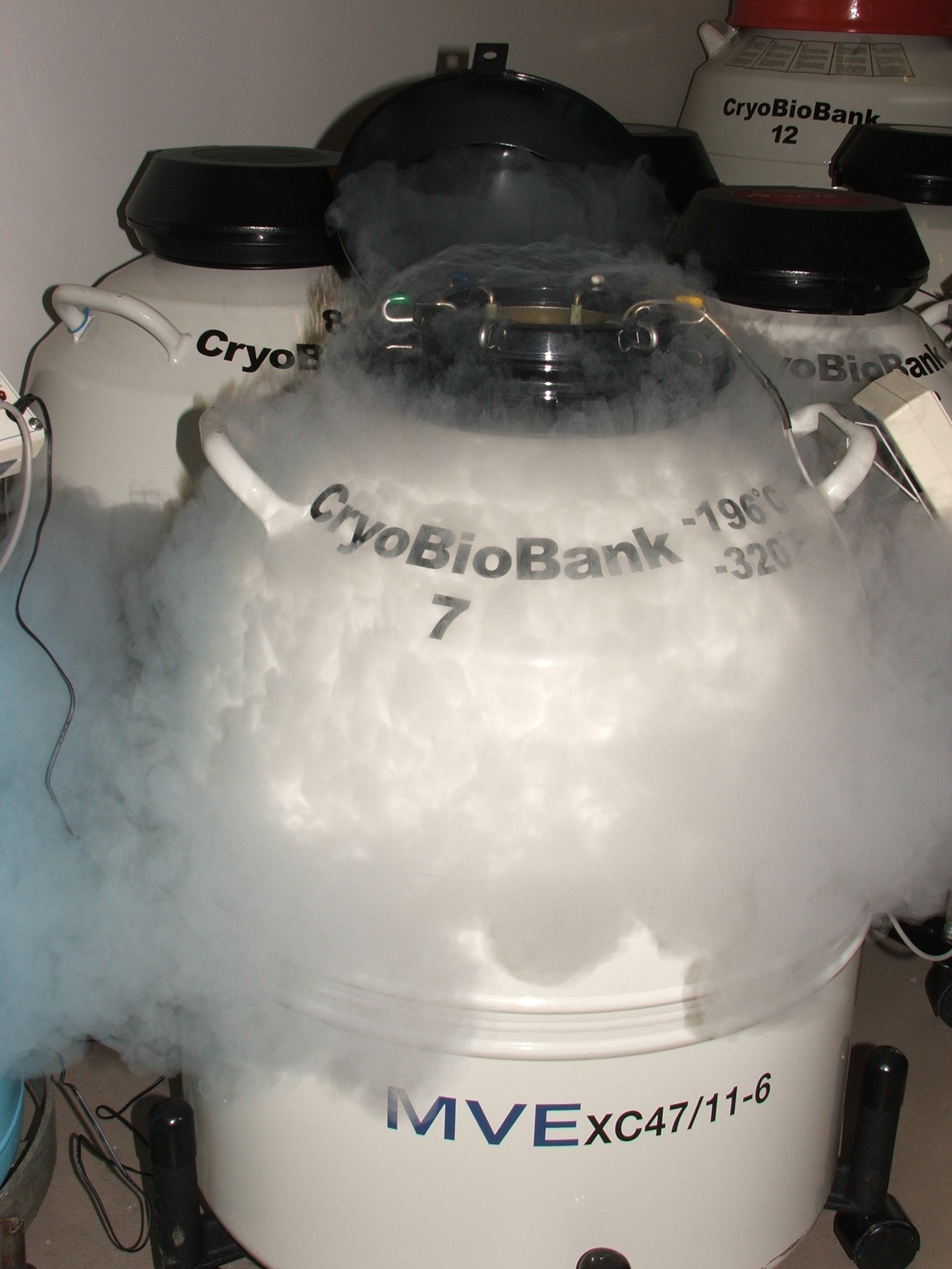 CREW Joins the Race for Plant Survival - Cincinnati Zoo & Botanical Garden