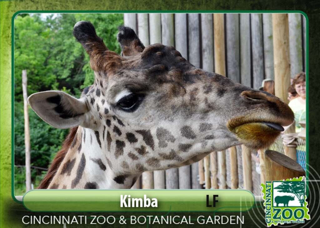 Zoo's Animal All-Stars Lineup - Cincinnati Zoo & Botanical Garden