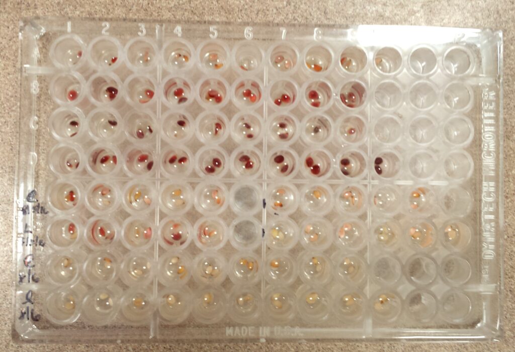 A Case Study to Conserve Trillium: Can The Seeds Survive Drying ...
