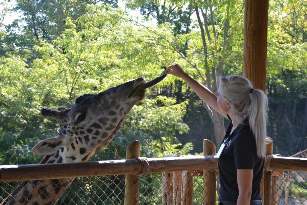 Polar Bears Archives - Cincinnati Zoo & Botanical Garden