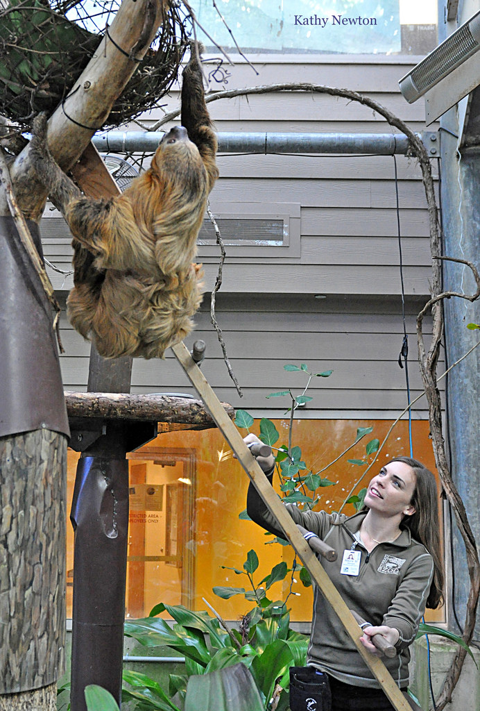 Getting Social for Animal Well-being Over Winter - Cincinnati Zoo ...