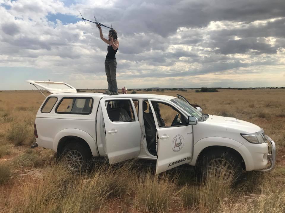 Saving the World’s Deadliest Cat - Cincinnati Zoo & Botanical Garden