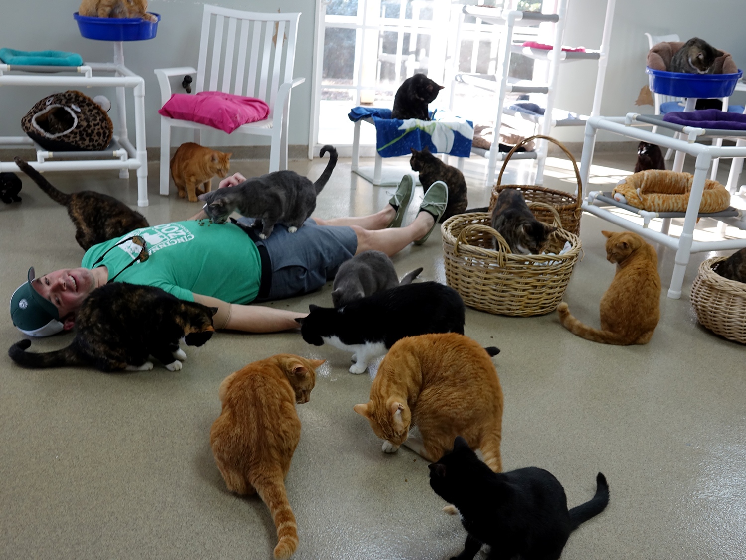 Sometimes Calm is Better Than Wild at the Zoo! - Cincinnati Zoo ...