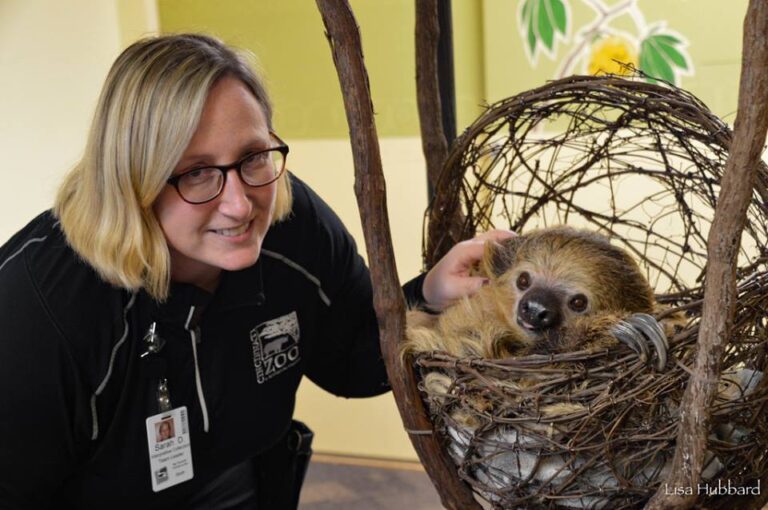 International Sloth Day 2018 - Cincinnati Zoo & Botanical Garden