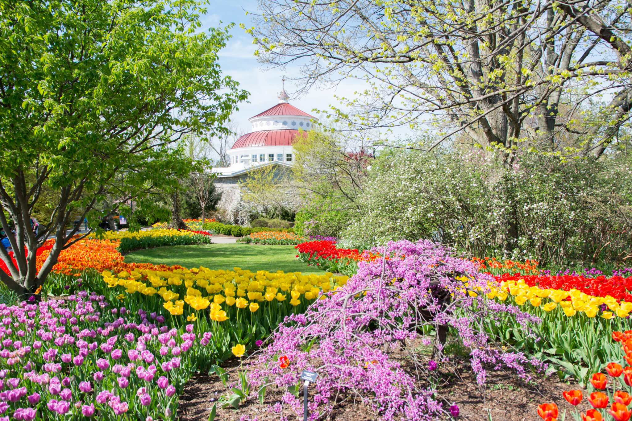 Events Archive - Cincinnati Zoo & Botanical Garden