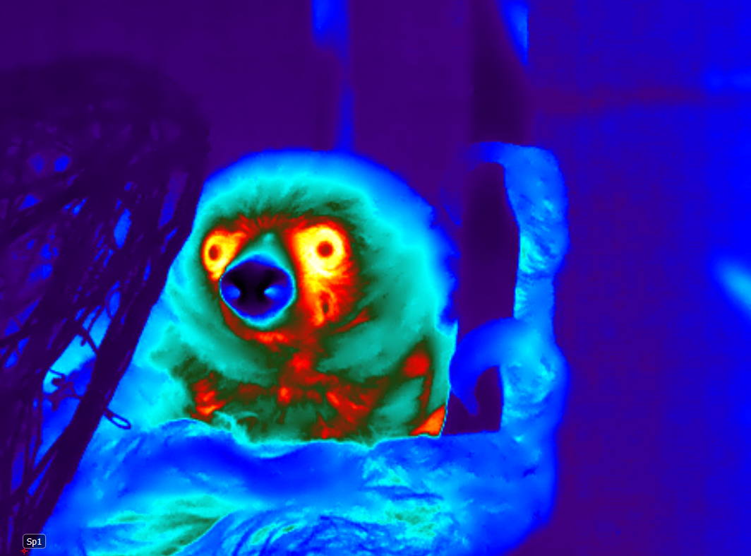 Using Infrared Thermography to Non-Invasively Assess Animal Health ...
