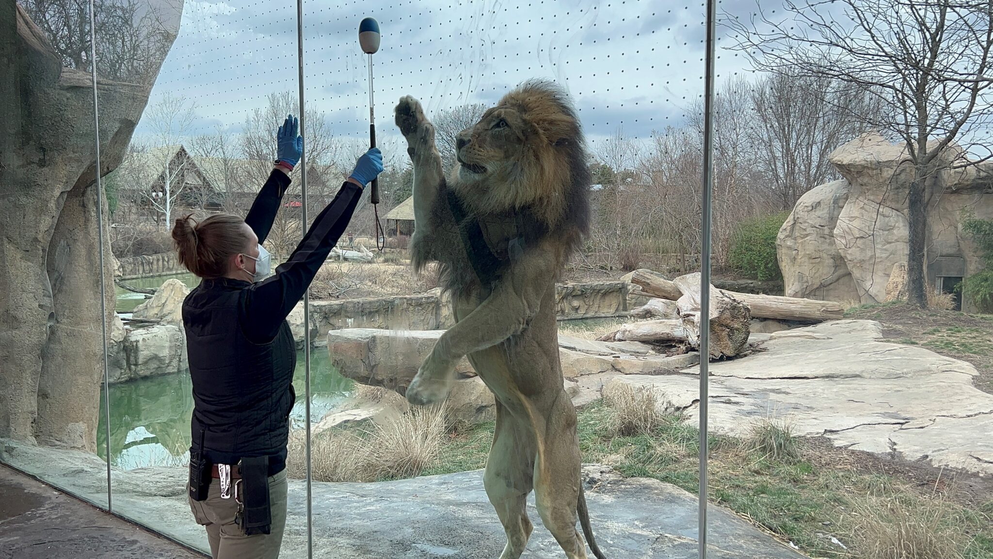 Sustainability Archives - Cincinnati Zoo & Botanical Garden