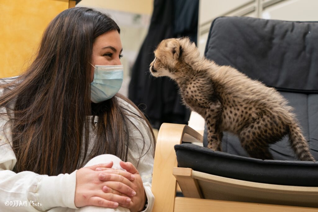 Rozi and Daisy - The Zoo’s Newest Friends - Cincinnati Zoo & Botanical ...