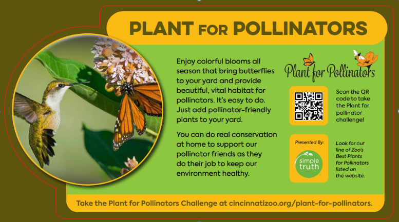 Support Healthy Habitats for Pollinators - Cincinnati Zoo & Botanical ...