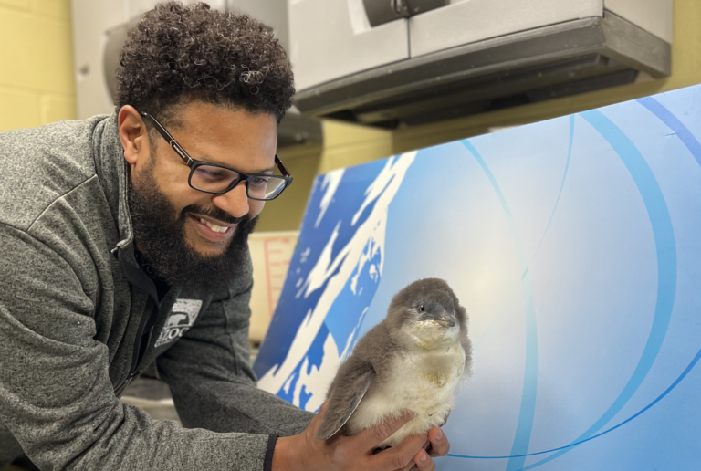 Meet the Newest Members of the Cincinnati Zoo Family During Zoo Babies ...
