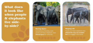 Harry and Linda Fath Elephant Trek - Cincinnati Zoo & Botanical Garden