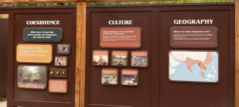 Harry and Linda Fath Elephant Trek - Cincinnati Zoo & Botanical Garden