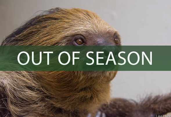 Behind The Scenes Experiences | Cincinnati Zoo